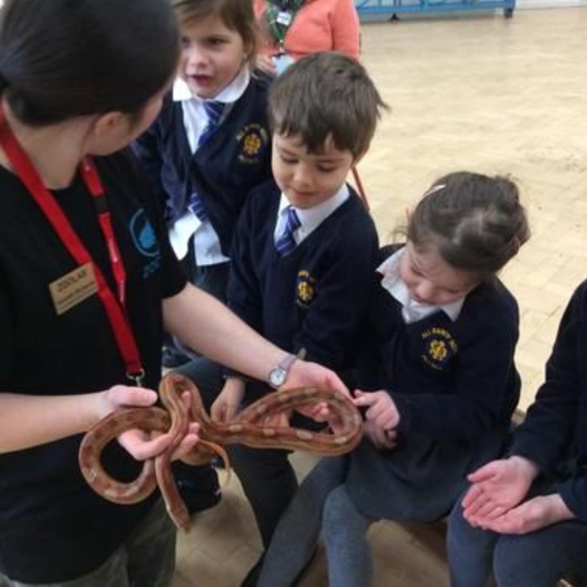 All Saints' Church of England Primary School, Putney - Zoolab workshop